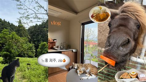 Vlog 여름의 동쪽 제주 나혼자 3박 4일 여행 🍃 Youtube