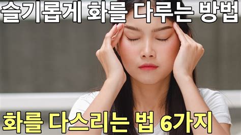 슬기롭게 화를 다스리는 방법 6가지 인생 조언 삶의 지혜 Youtube