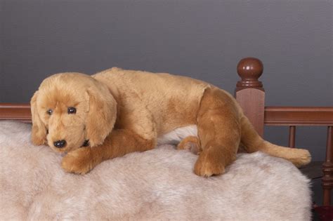 Black Lab Lap In Ditz Designs By The Hen House