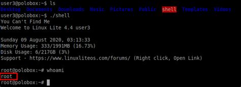 Tryhackme Walkthrough A Common Linux Privilege Escalation