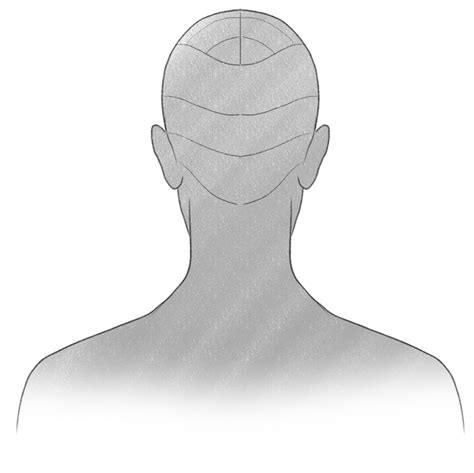 How To Draw Braids For Beginners Regular Box Cornrows