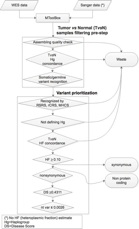 Variant Analysis And Prioritization Worklow The Main Steps Useful To Download Scientific
