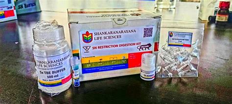 Snls Restriction Mapping Teaching Kit At ₹ 6617 Piece Dna Extraction Kit In Bengaluru Id