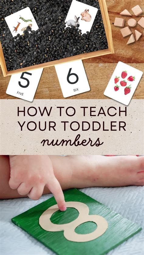 Flashcard Games Activity Guide Artofit