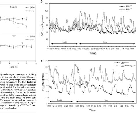 Hormone Sensitive Lipase Activity Semantic Scholar