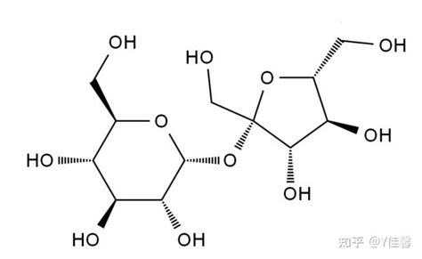 蔗糖和麦芽糖的键线式是什么 知乎