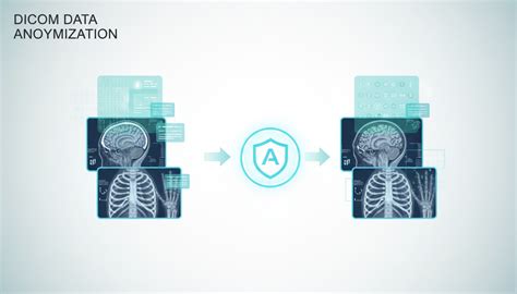 Best Free Tool For Dicom Data Anonymization Hipaa Guide Postdicom