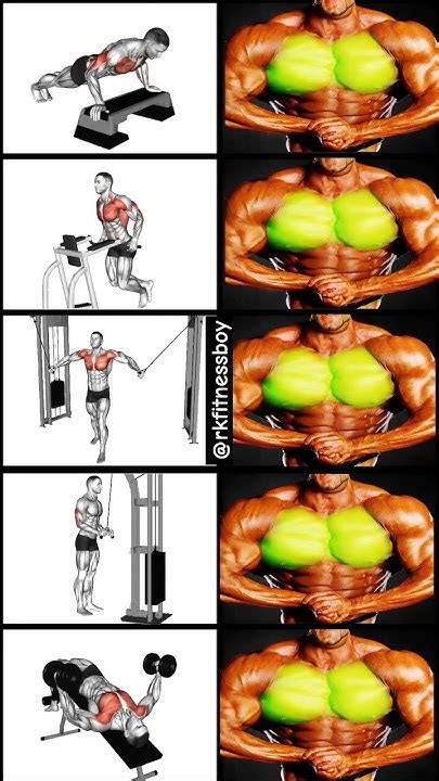 Best Lower Chest Exercisesmaster The Best Lower Chest Exercises To