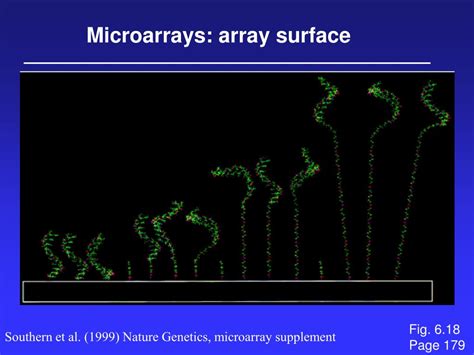 Ppt Gene Expression Microarray Data Analysis Powerpoint Presentation Id4269713