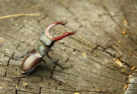 10 Tools That Will Boost Your Productivity By Simon Späti Medium