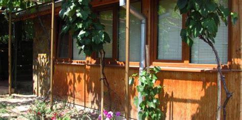 Къща Елена в Белоградчик на цени от 40 лв отзиви снимки информация Почивка бг