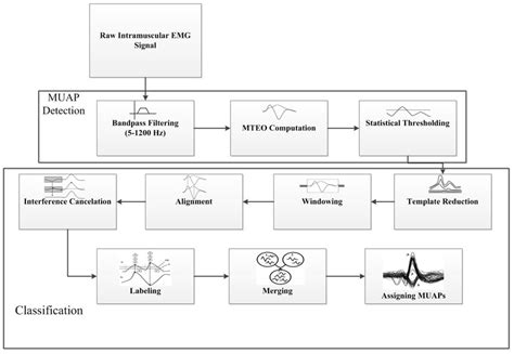 The Detailed Steps Of The Proposed Algorithm The Main Blocks Of The Download Scientific