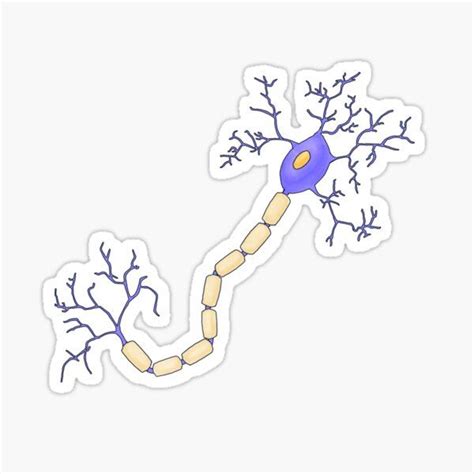 Nervous System Stickers For Sale Nervous System Doodle Cute Neuron