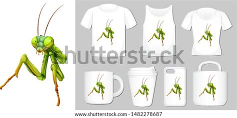 Graphic Grasshopper On Different Types Product Stock Vector Royalty