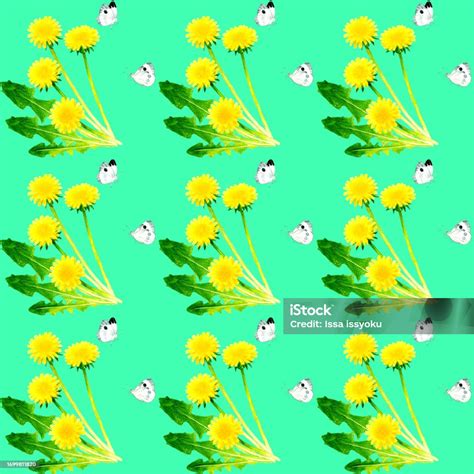 민들레와 흰 나비의 매끄러운 패턴 봄 식물의 손으로 그린 수채화 그림 4월에 대한 스톡 벡터 아트 및 기타 이미지 4월 개화기 그리기 Istock