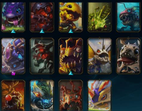 Why This Build R Kogmawmains