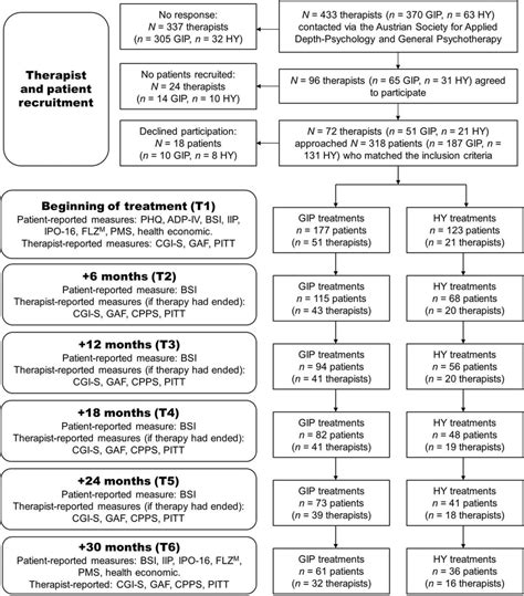 Therapist And Patient Flow Chart Measurement Points And Measures
