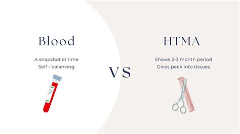 Why Your Fertility Labs Aren T Telling The Whole Story