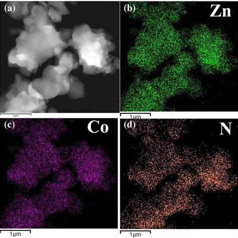 A Stem Image And Bd Edx Mapping For Cozif‐8 Download Scientific