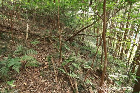 美作 目崎城の写真集 城郭放浪記