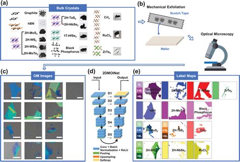 The Flow Chart Of The Proposed Deep Learning Based Optical Download Scientific Diagram
