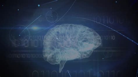 Network Of Connections Over Human Brain And Binary Coding Data