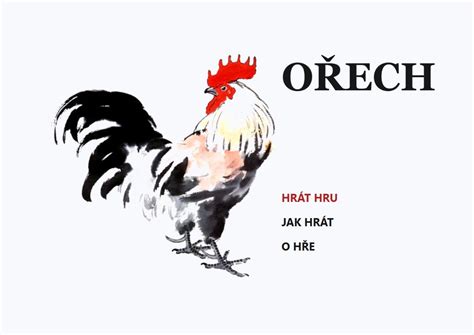 Ořech By Tomas Kadlec