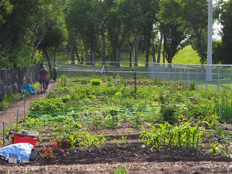 U Of Join Us Next Wednesday Jan 18th For Our Winter Kickoff Bbq