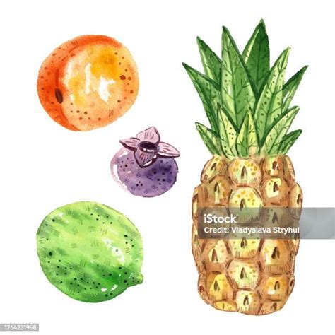 파인애플 라임 살구 블루베리 열대 과일 클립 아트 세트 수채화 일러스트레이션 생 신선한 건강 식품 채식주의 자 채식주의자 여름 흰색 배경에 격리된 요소를 디자인합니다 개체