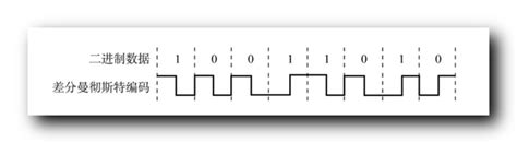 【计算机网络】物理层 编码 数字数据 编码 数字信号 非归零编码 归零编码 反向不归零编码 曼彻斯特编码 差分