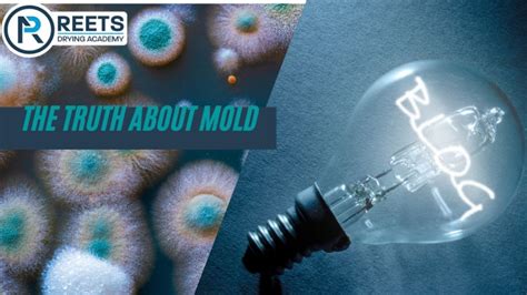 Reets Drying Academy On Linkedin Bit Ly 3i0rfbv