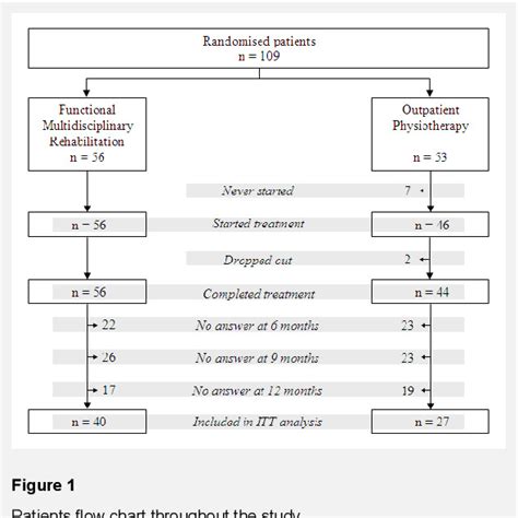 Figure 1 From Functional Multidisciplinary Rehabilitation Versus Outpatient Physiotherapy For