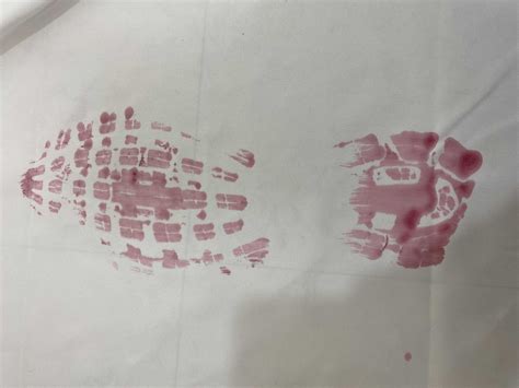 Footprintdetection Object Detection Dataset By Test