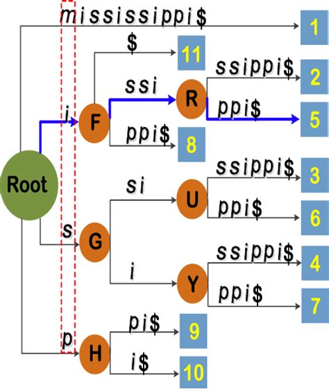 8 Suffix Tree For String Mississippi Each Suffix Is Terminated By