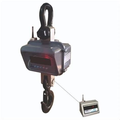 Ton Wireless Crane Scale At Best Price In Mumbai By Contech Instruments Limited ID