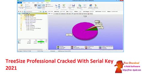 Treesize Professional Key Eventsberlinda