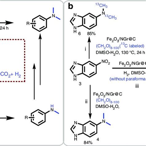 Iron Catalyzed Reductive N Methylation A A Reaction Pathway Showing Download Scientific