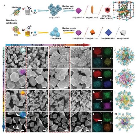 扬州大学庞欢，发表am！ 华算科技