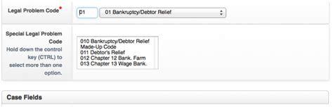 Collecting Case Specific Information During Intake Legalserver Help