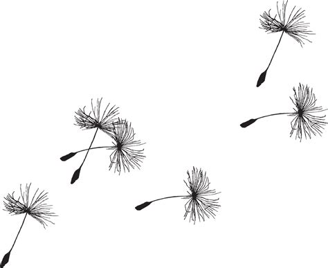 Explore 8910 Free Dandelion Images Illustrations Download Now Pixabay