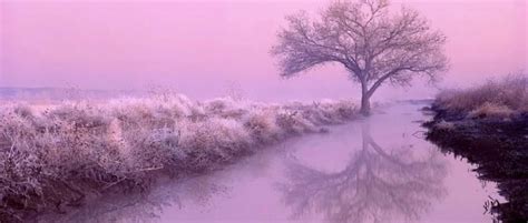 Python下载网页壁纸图片 知乎