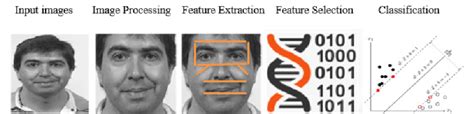 Block Diagram Of Gender Recognition From Face Images Download Scientific Diagram