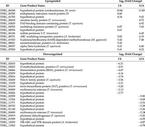 The Most Significantly Up Or Downregulated Genes Download Scientific Diagram