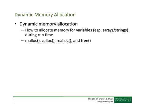Dynamic Memory Allocation Dynamic Memory Allocation Dynamic Memory