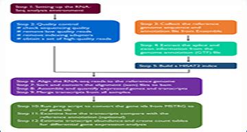 An Intuitive Guide To Processing RNA Seq Reads RNA Seq Blog