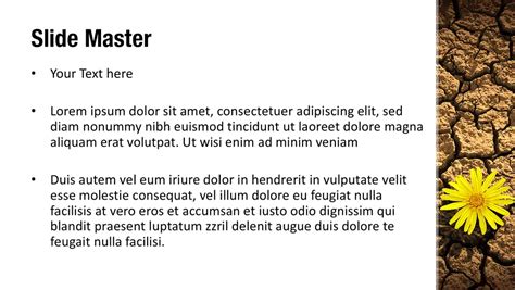 Dried Soil PowerPoint Templates Dried Soil PowerPoint Backgrounds Templates For PowerPoint