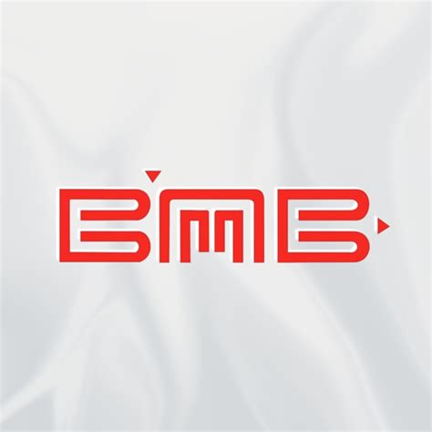 Công Ty Tnhh Vina Bmb Landc Ho Chi Minh City