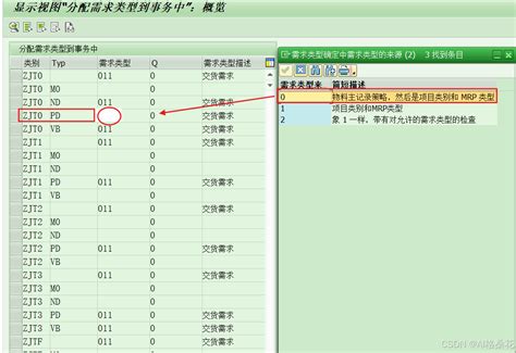 12 销售订单行项目需求类型为何为空 Sap 销售订单需求类型 Csdn博客