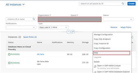 [sap Btp] How To Create Sap Hana Database In Cloud Foundry Sap Zero To Hero