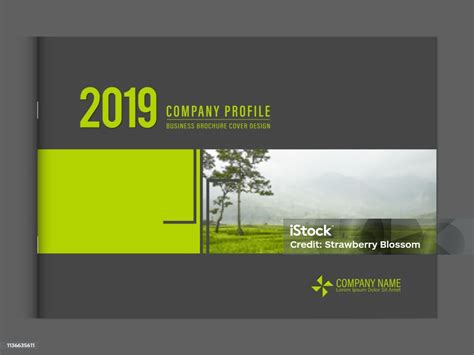 표지 디자인 서식 파일 기업 비즈니스 연례 보고서 브로셔 포스터 회사 프로필 카탈로그 잡지 전단지 소책자 전단지 랜드 스 케이프 커버 페이지 디자인 요소 그라데이션 메시가